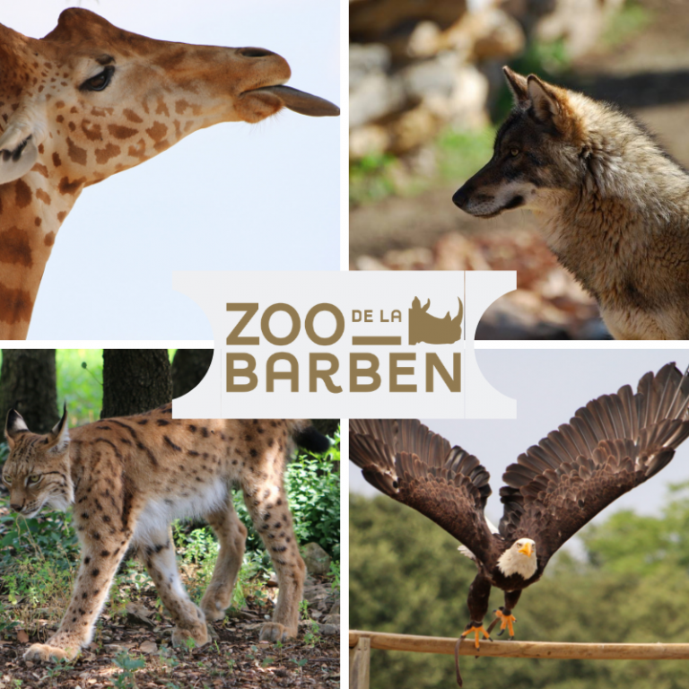 Zoo de la Barben 81km/1h - Terre de Bacchus